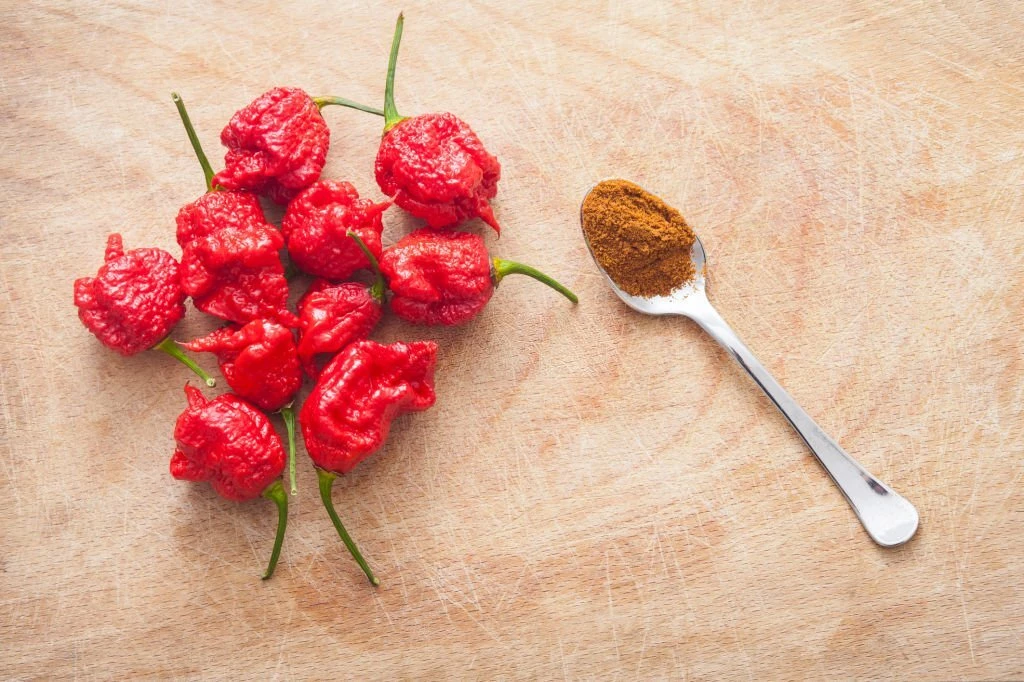 APA ITU CABE CAROLINA REAPER: MENGENAL ISTIMEWA DAN KEGUNAANNYA | The ...