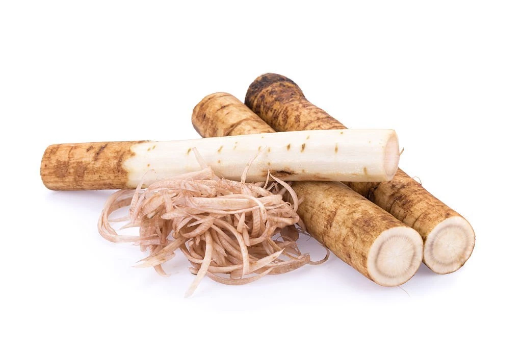 MENGENAL GOBO AKAR BURDOCK - KEUNIKAN, KEGUNAAN, DAN SEGALA HAL YANG ...